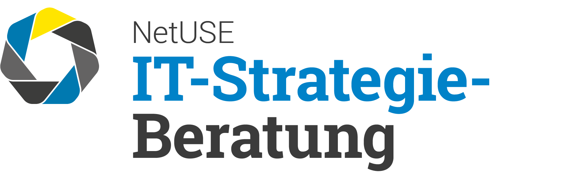 Consulting - NetUSE AG